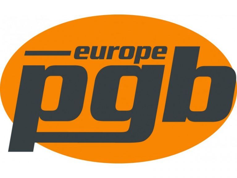 PGB 6.0x100mm 100 stuks - Prins Houthandel Schroef PGB